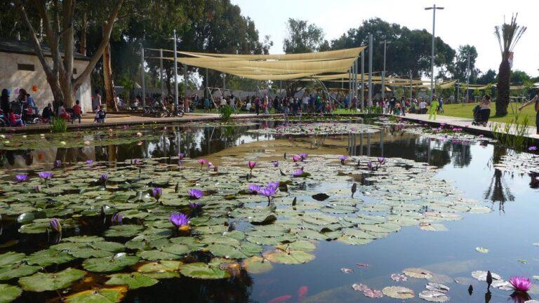 מנהרת הרוח FLYBOX - Visit Rishon