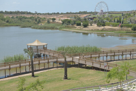 המדריך המלא לבילוי בראשון לציון - Visit Rishon